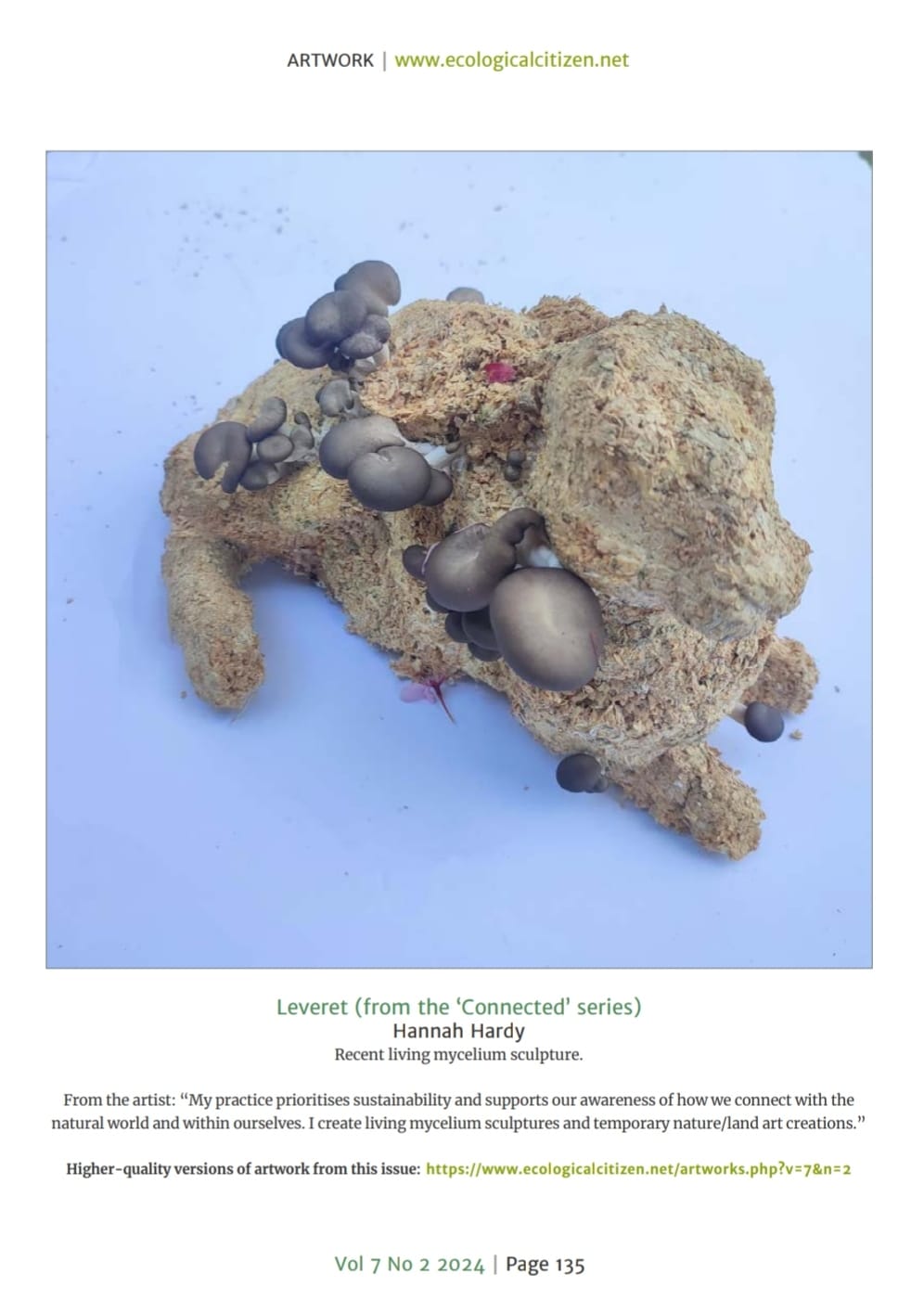 The Connected series~ Living mycelium sculptures – Hannah Hardy Art